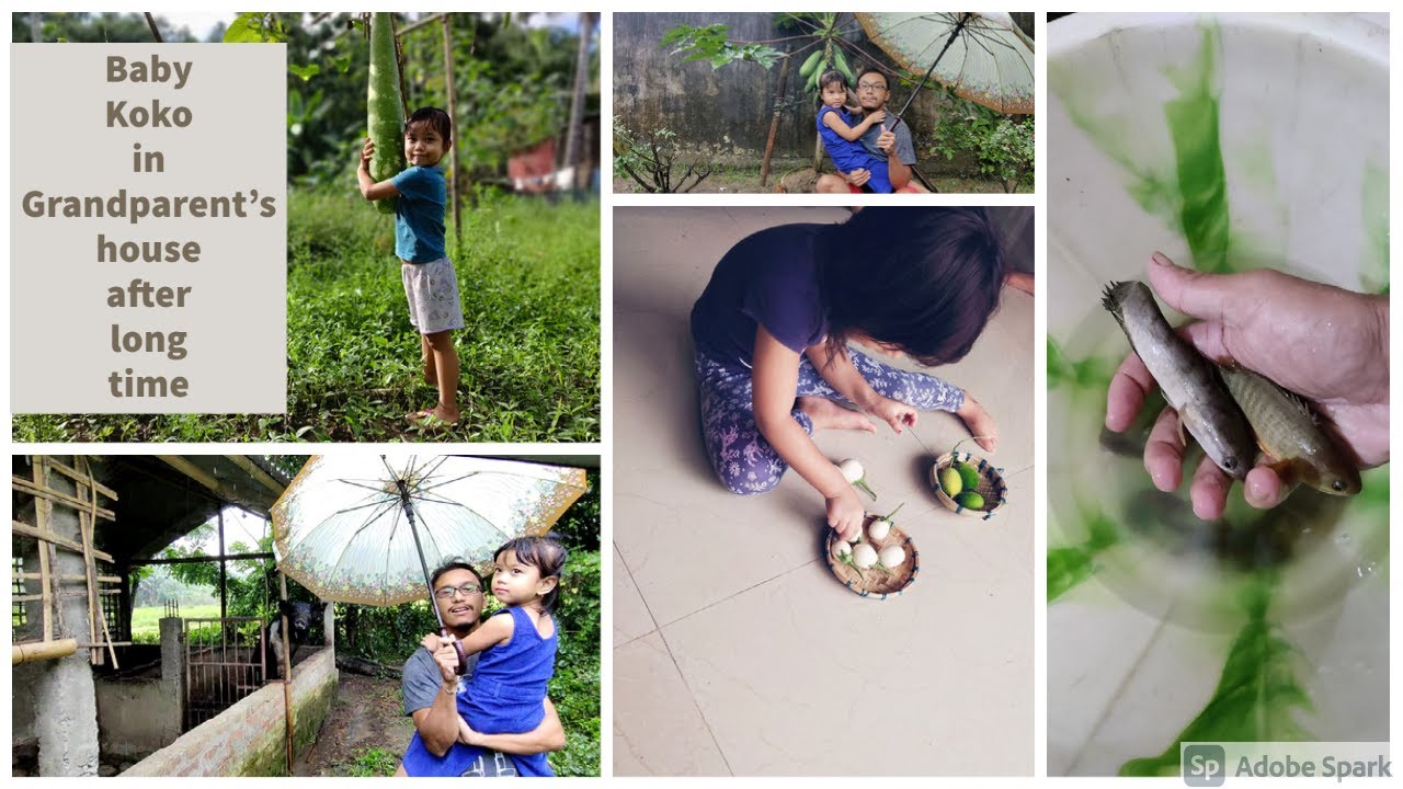 Baby Koko is back. She visits to Grand Parent's house after long time ...