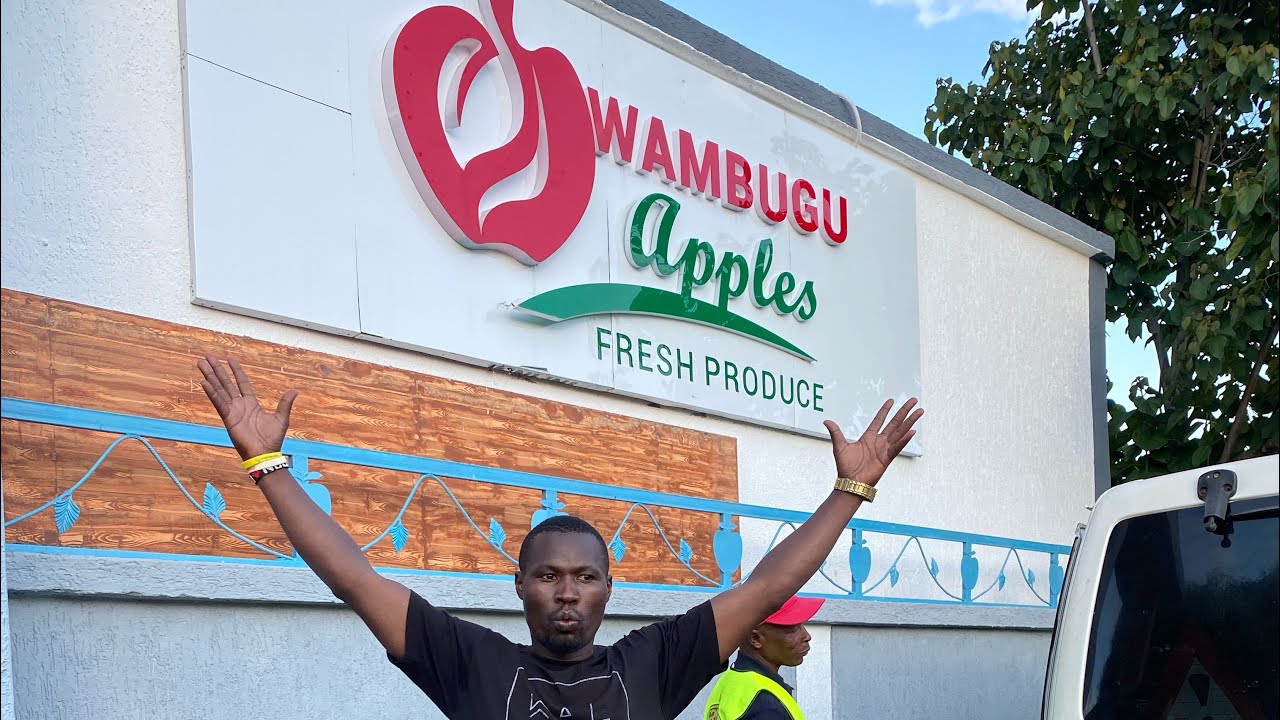 Wambugu Farm tours Dragon fruits. - YouTube