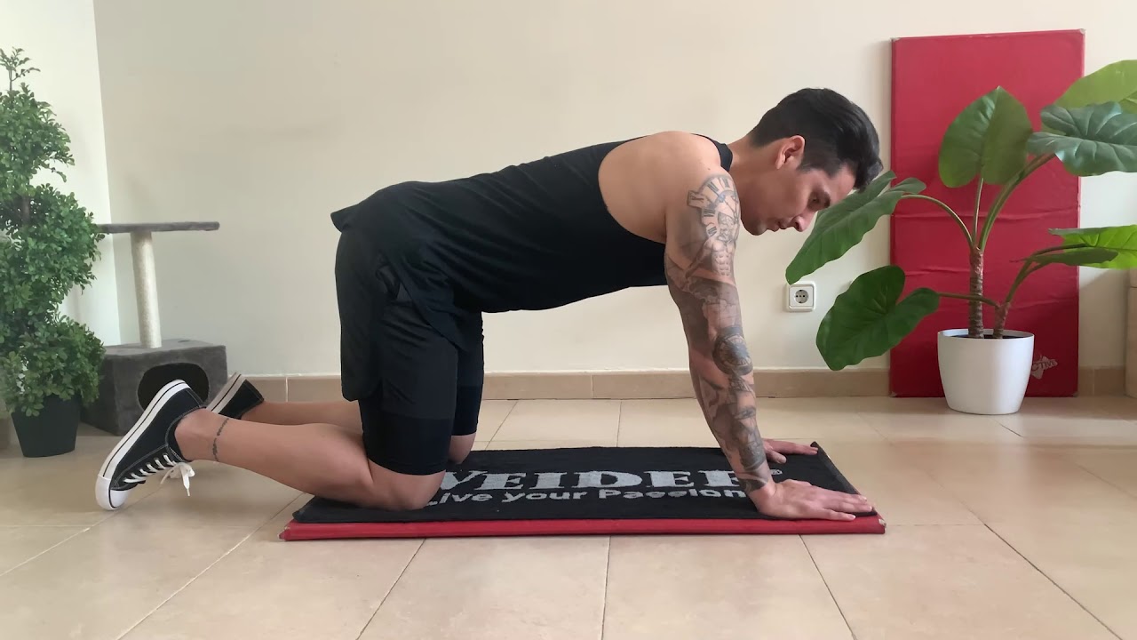 FLEXIONES HORIZONTALES - YouTube