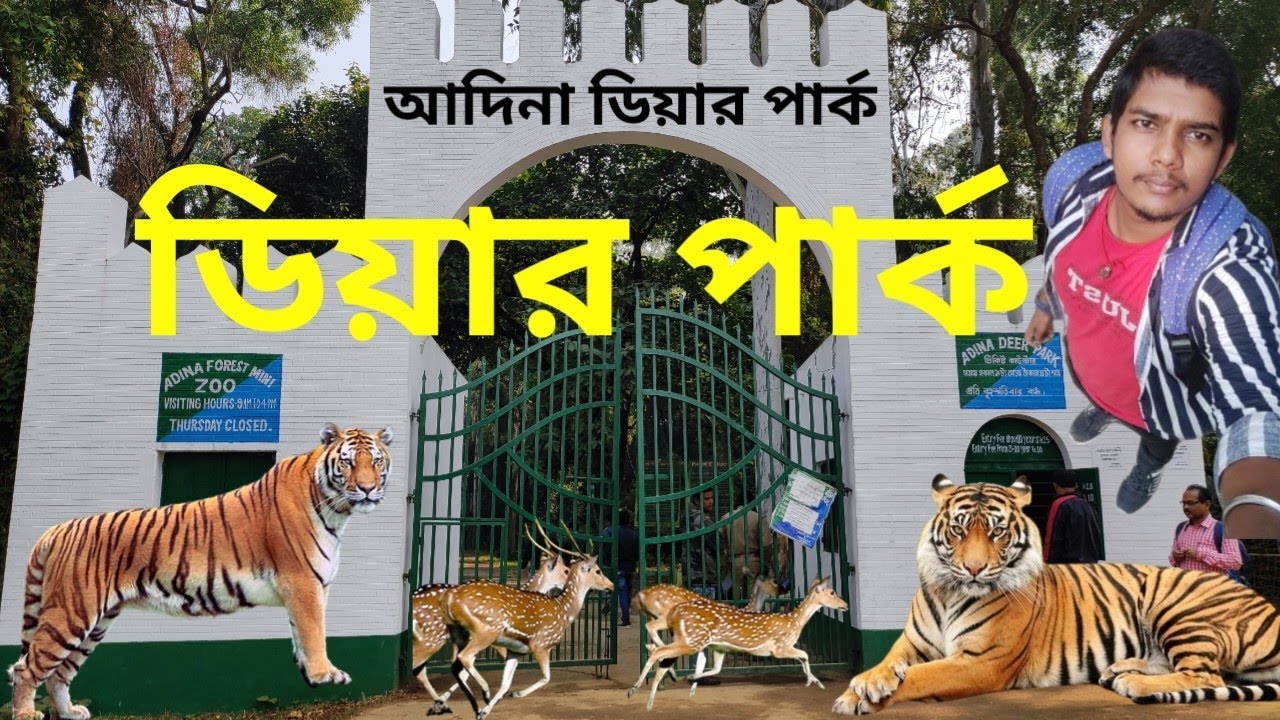 Adina Deer Park Malda | adina deer park adina forest malda #vlog - YouTube