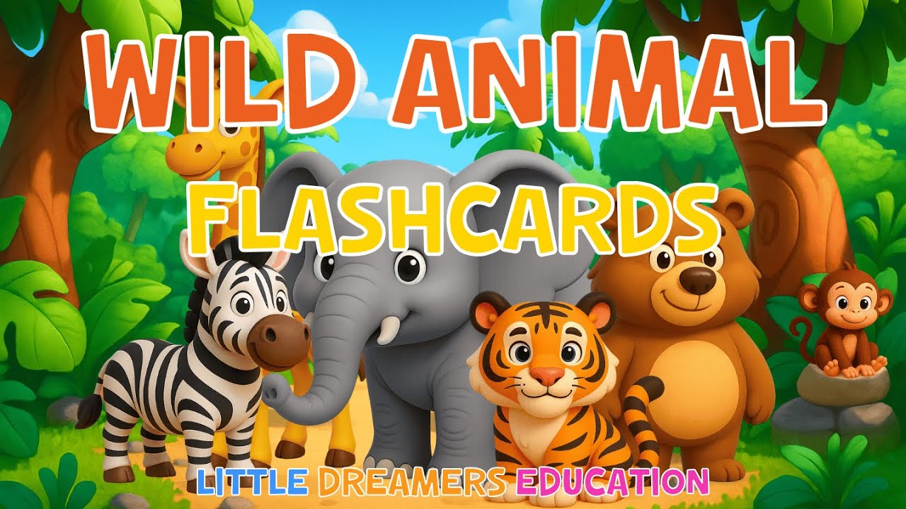Wild Animal Flashcards for Kids | Learn 20 Animals | 4K - YouTube