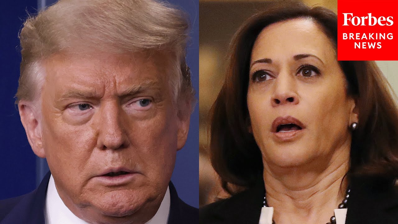'She Said It For 15 Years': Donald Trump Says 'Kamala Harris Wants Open ...