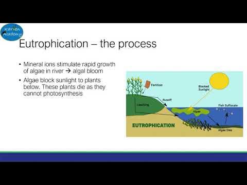 Decomposition and Eutrophication (AQA A-level Biology) - YouTube