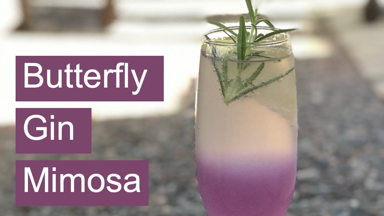 Mimosa - Butterfly Pea Gin Infused - YouTube