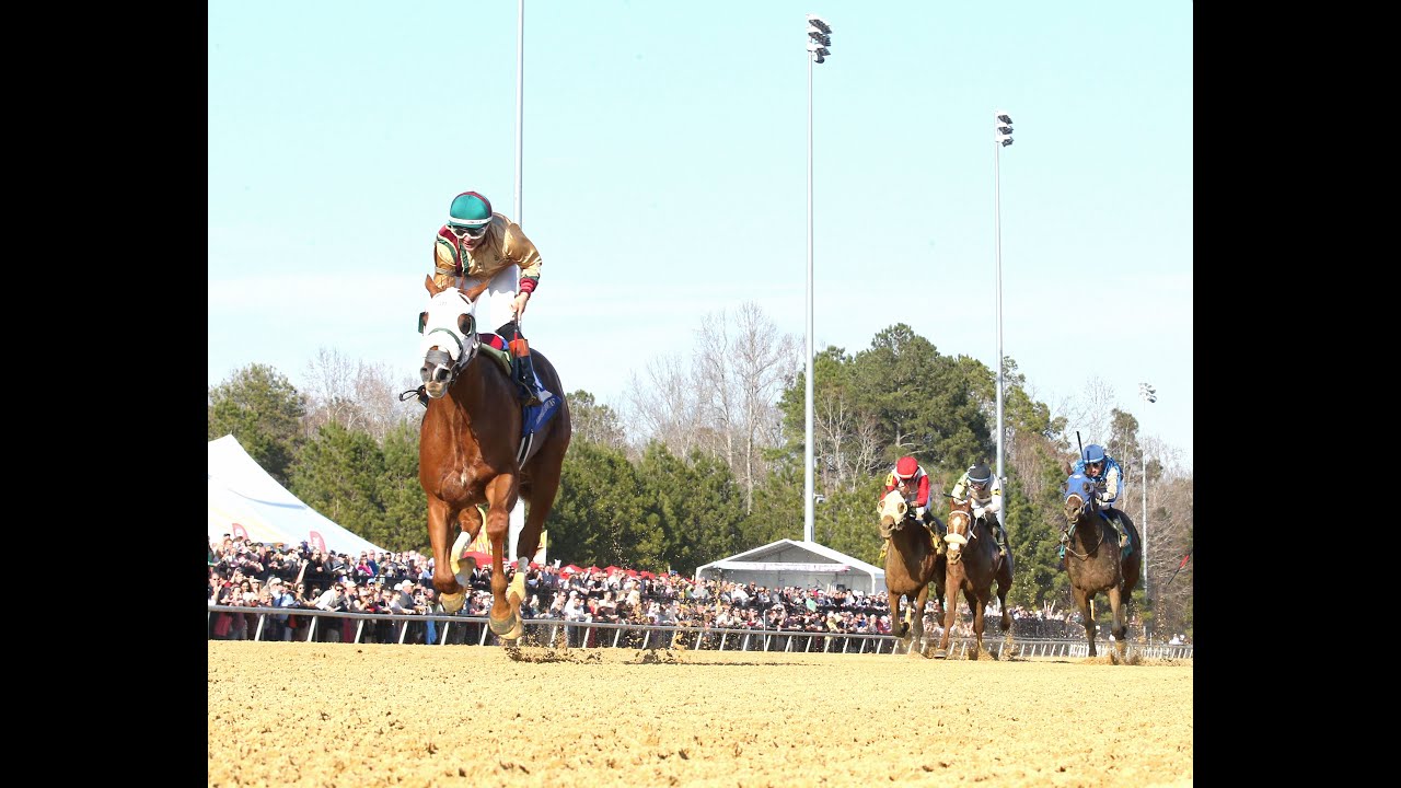 Kentucky Derby 2025 horse American Promise trainer, owner, jockey