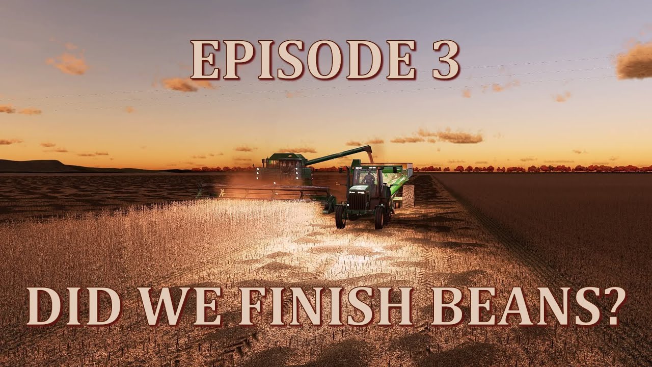 Did we finish beans? - YouTube