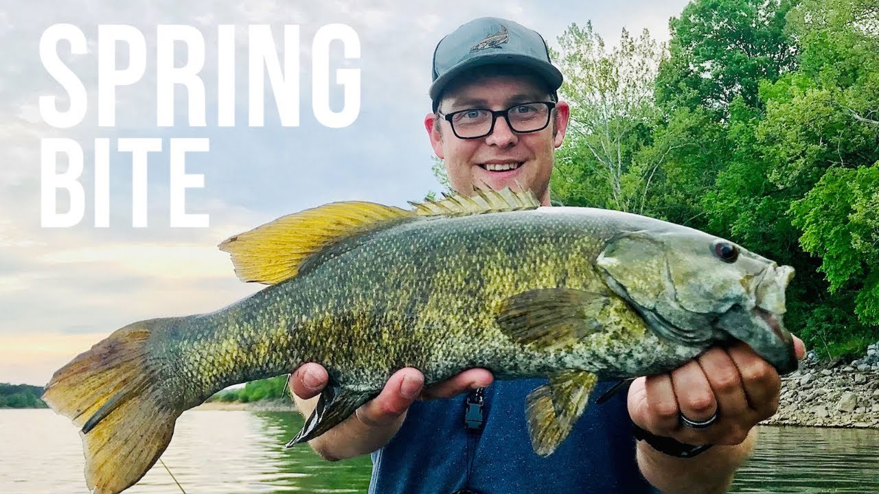 Spring bite on the river (Rogersville) - YouTube