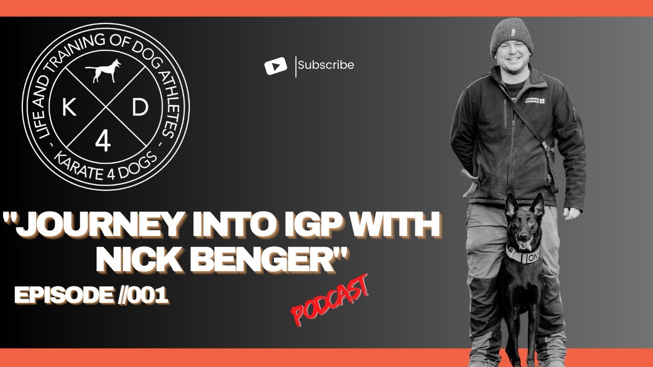 "Journey into IGP: From pet dog training into Protection Dog Sports ...