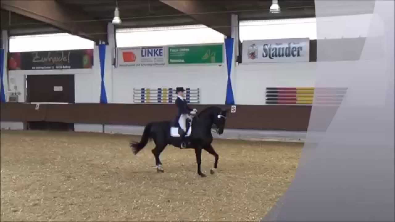 Montage : Anna Den #9 - YouTube