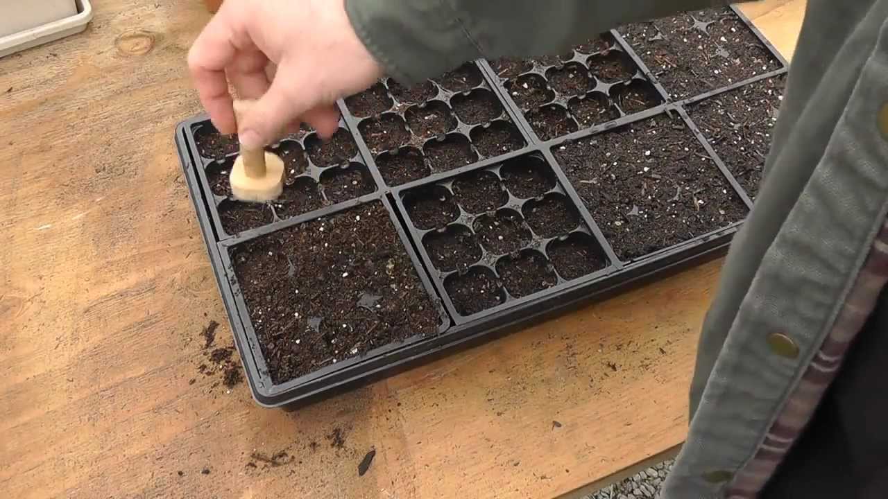 Make A Seed Planting Depth Gauge - YouTube