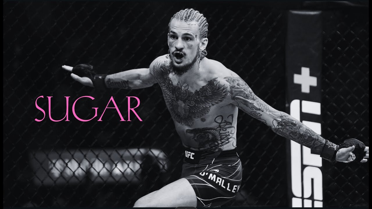 SUGAR SEAN O'MALLEY: AFTER DARK EDIT - YouTube