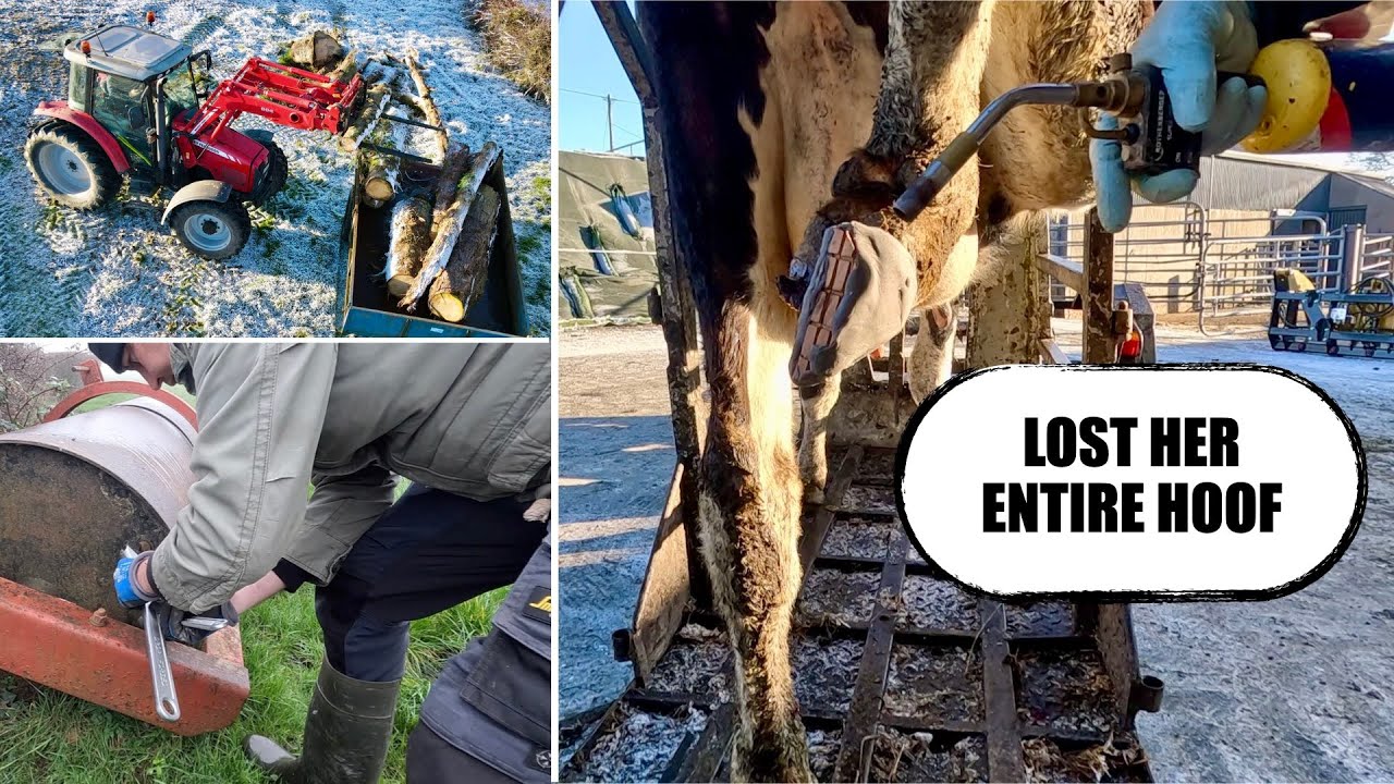 A Fairly Frustrating Week || Some Things Suited Others Didn't!! - YouTube