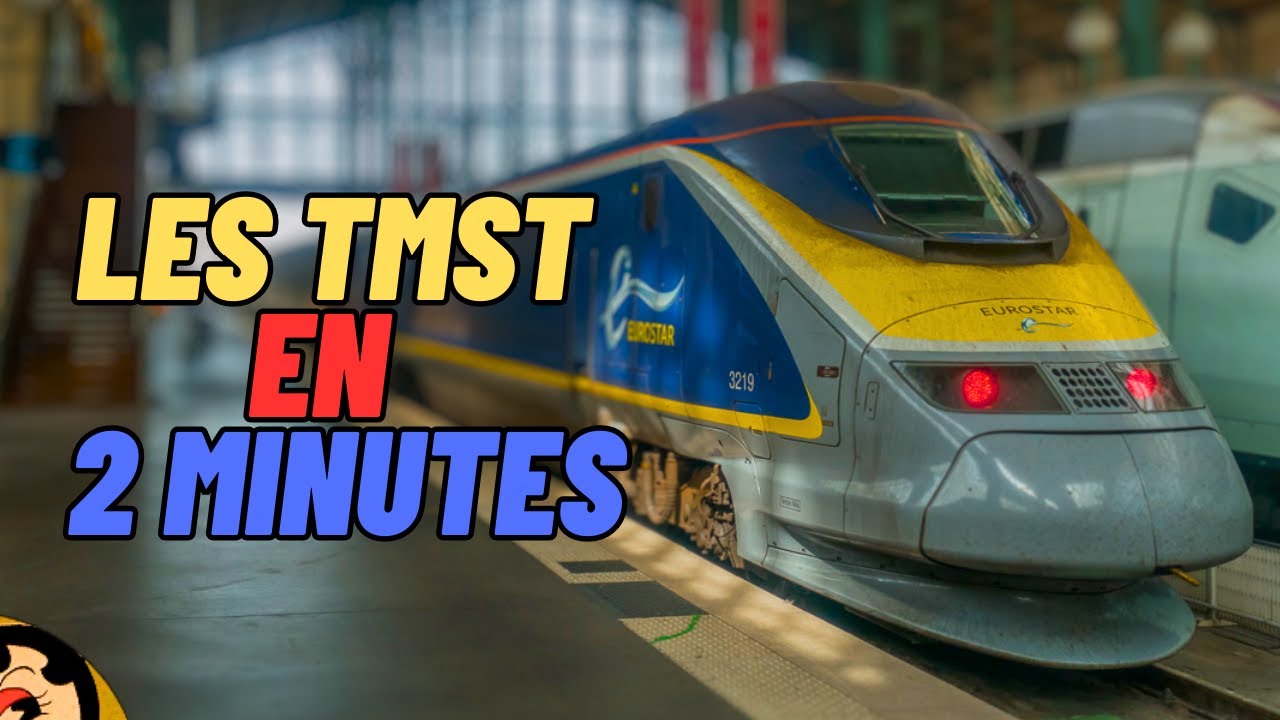 Les tmst en 2 minutes - YouTube