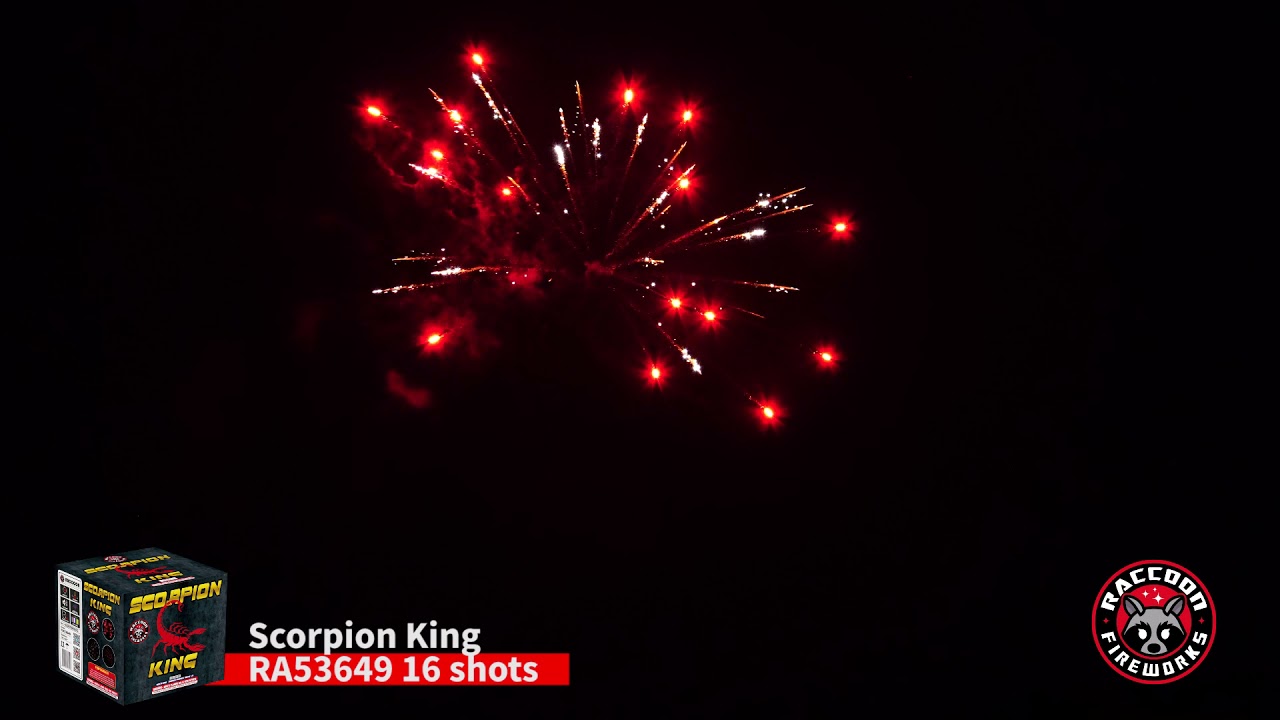 Scorpion King RA53649 Raccoon Fireworks 2021 New Product 16 shots - YouTube