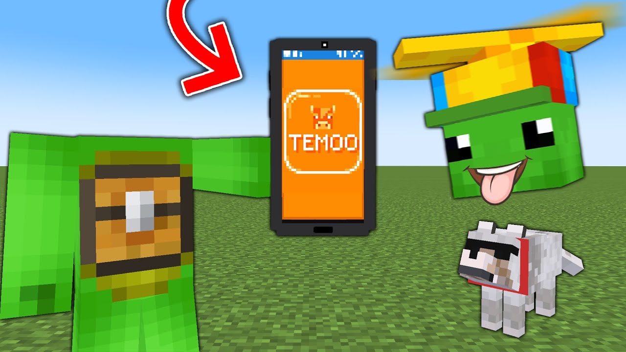 Minecraft dar Pot sa Cumpar Iteme de pe TEMU ! - YouTube