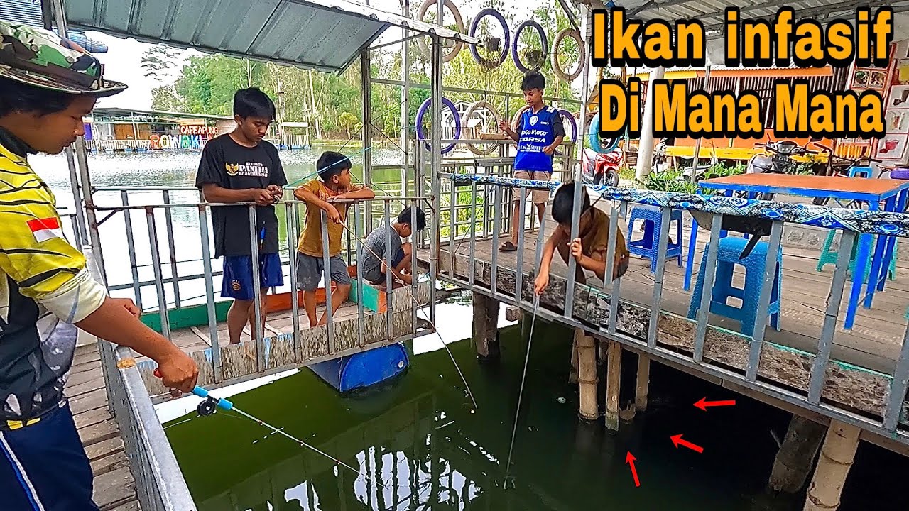 EXPLORE..!TERNYATA RAWA KLAMPOK TERINFANSI JUGA IKAN HAMA || mancing ...