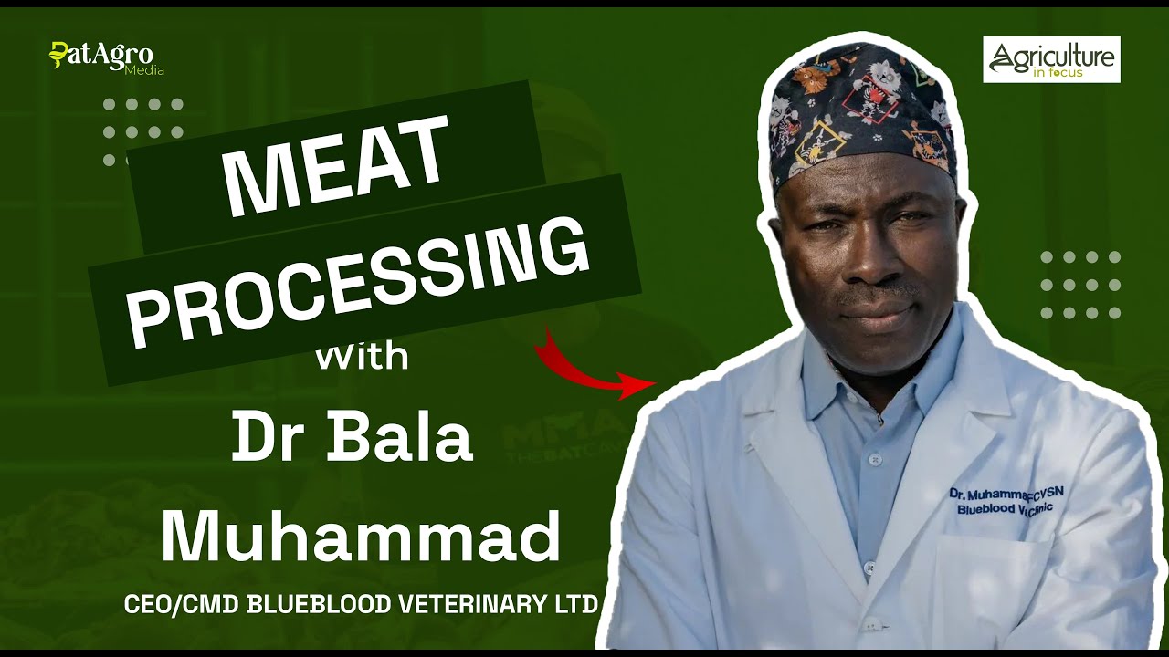 Unveiling the Secrets of Meat Processing with Dr. Bala Muhammad ...