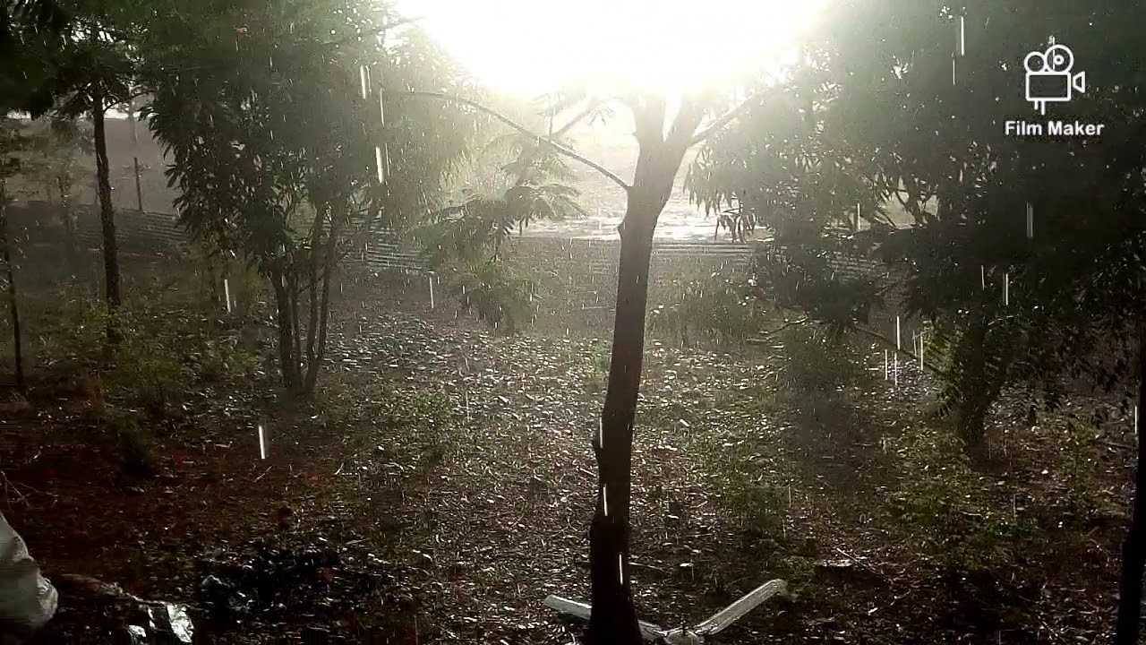 The fantastic moment of Rainy session at my village - YouTube