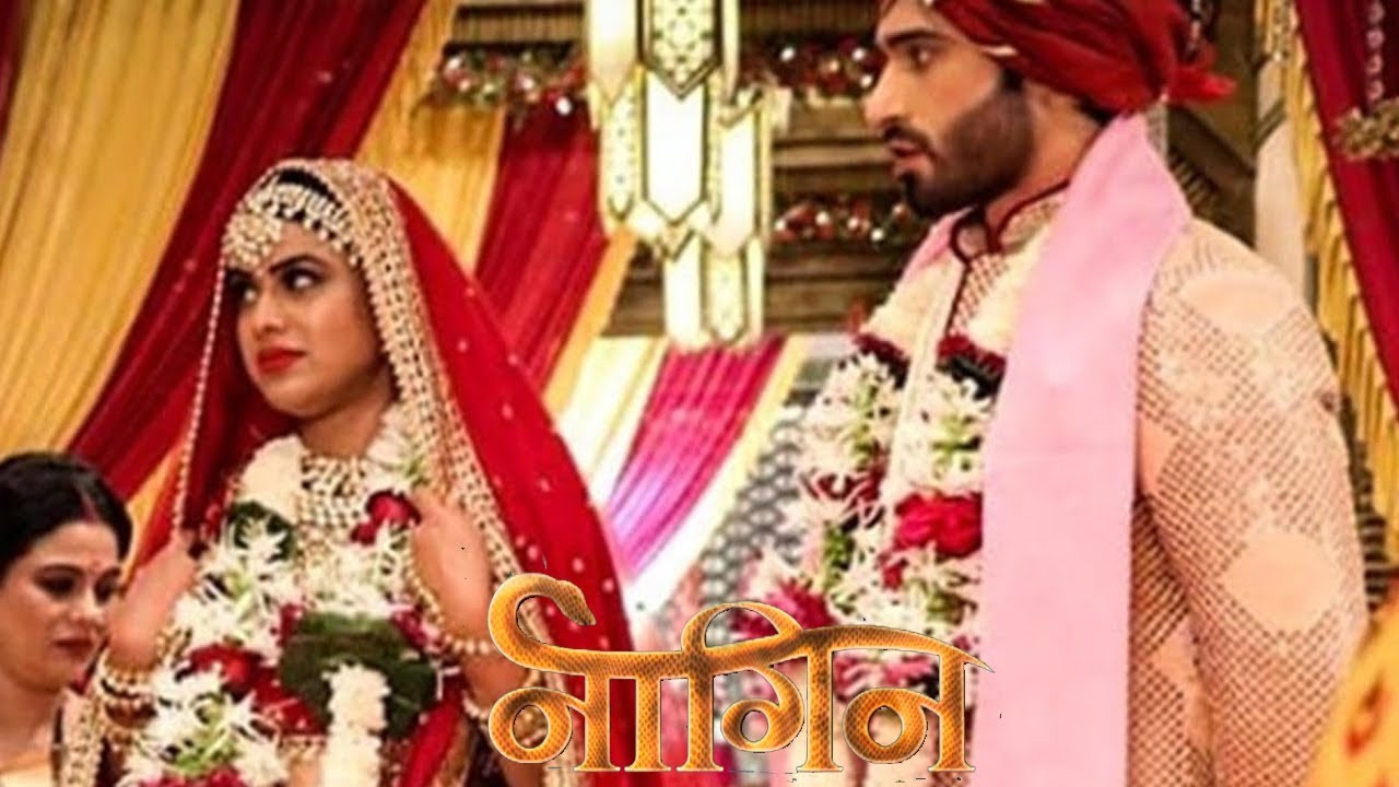 Naagin 4: Brinda To Marry Dev | Colors TV Naagin Serial News - YouTube