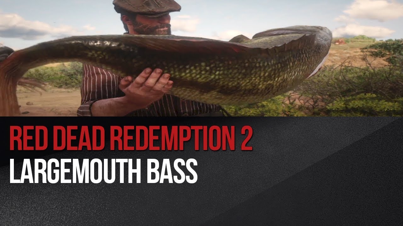 Red Dead Redemption 2 - Largemouth Bass - YouTube