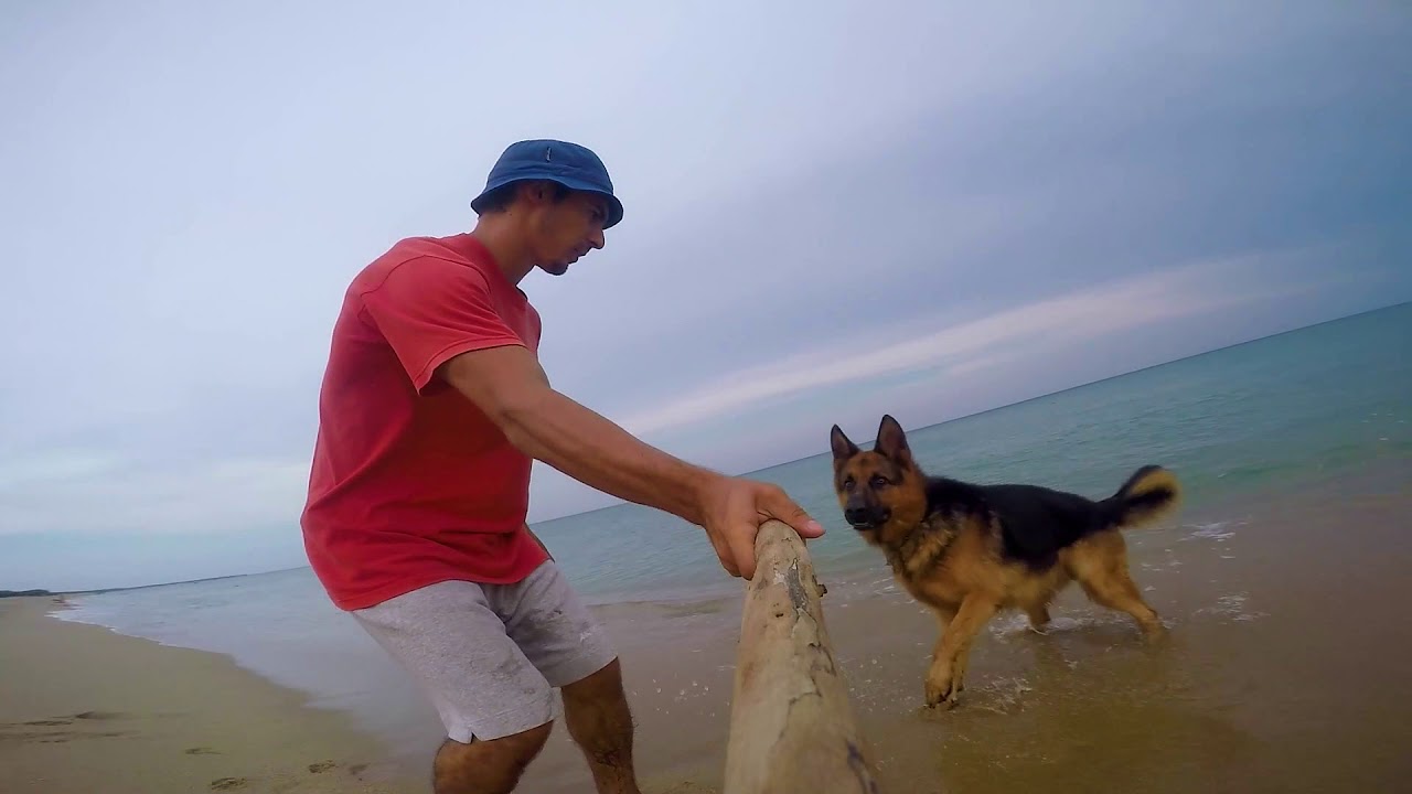 My German Shepherd, the beach and me - GoPro - YouTube