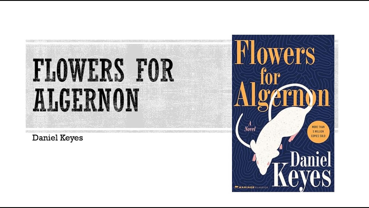 Flowers for Algernon 앨저넌에게 꽃을 - YouTube