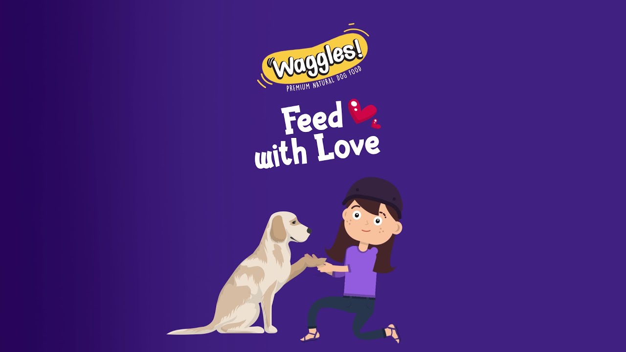 Feed With Love | Pet Food Donation - YouTube