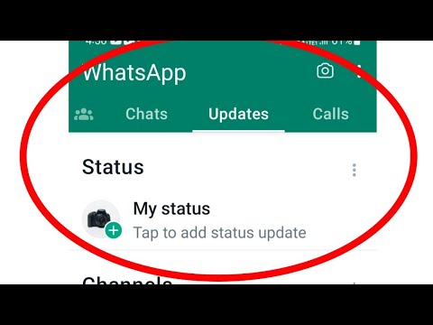 How To Set Status after Update WhatsApp Business - YouTube