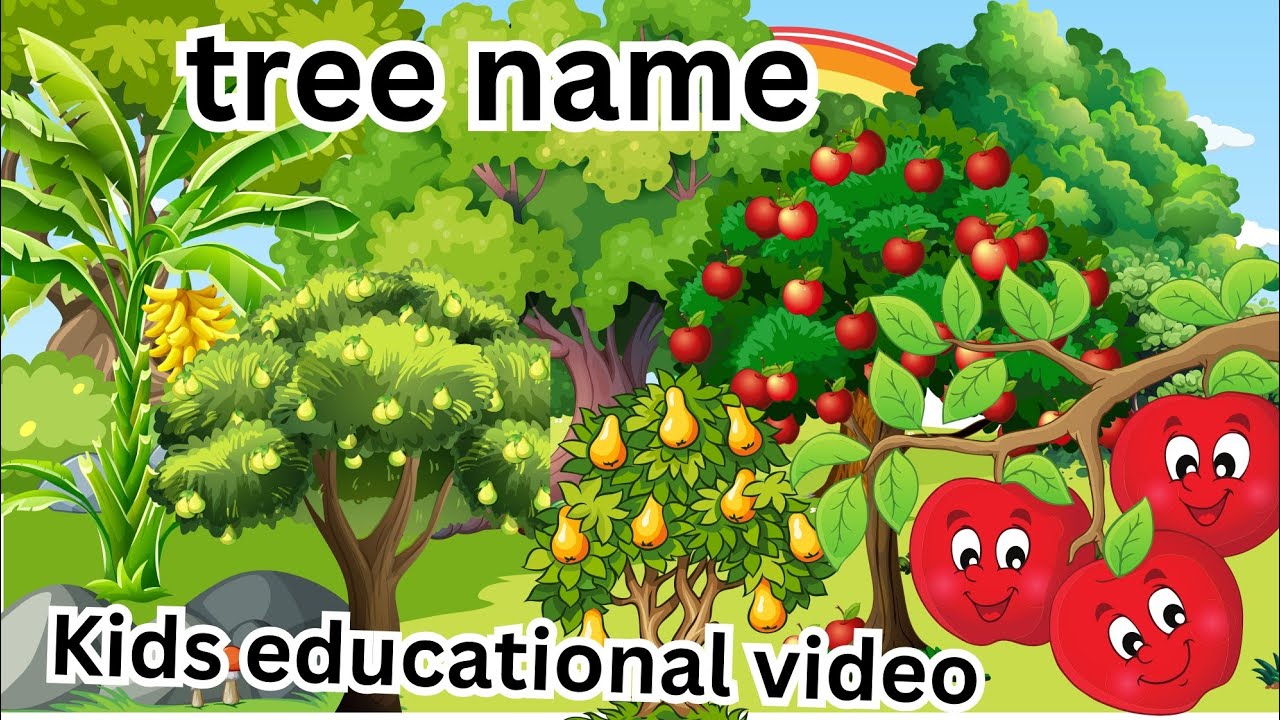 tree names in English. kids video world.abc song. - YouTube
