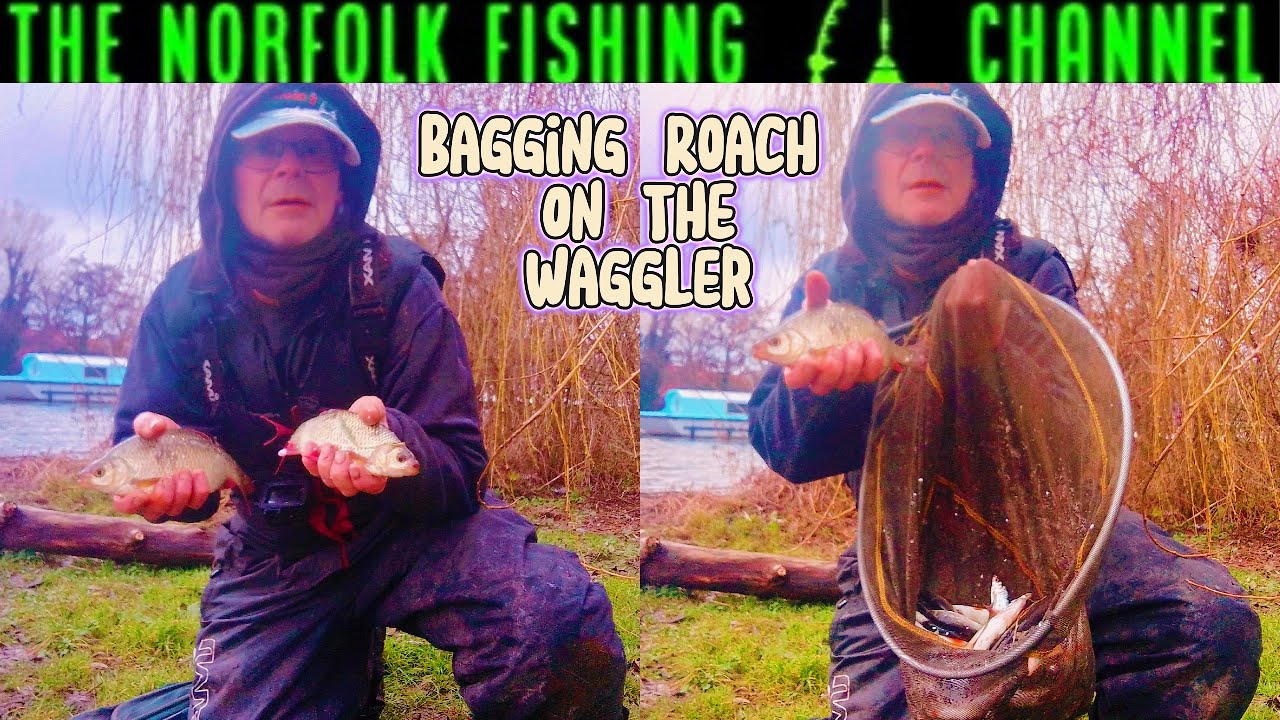 Bagging Roach on the waggler - YouTube