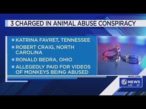 TN woman indicted for involvement in monkey torture groups