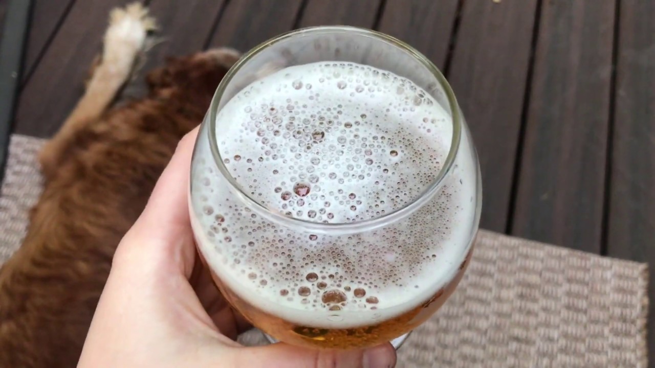 Gluten Reduced Beer: Daura Damm Lager - YouTube