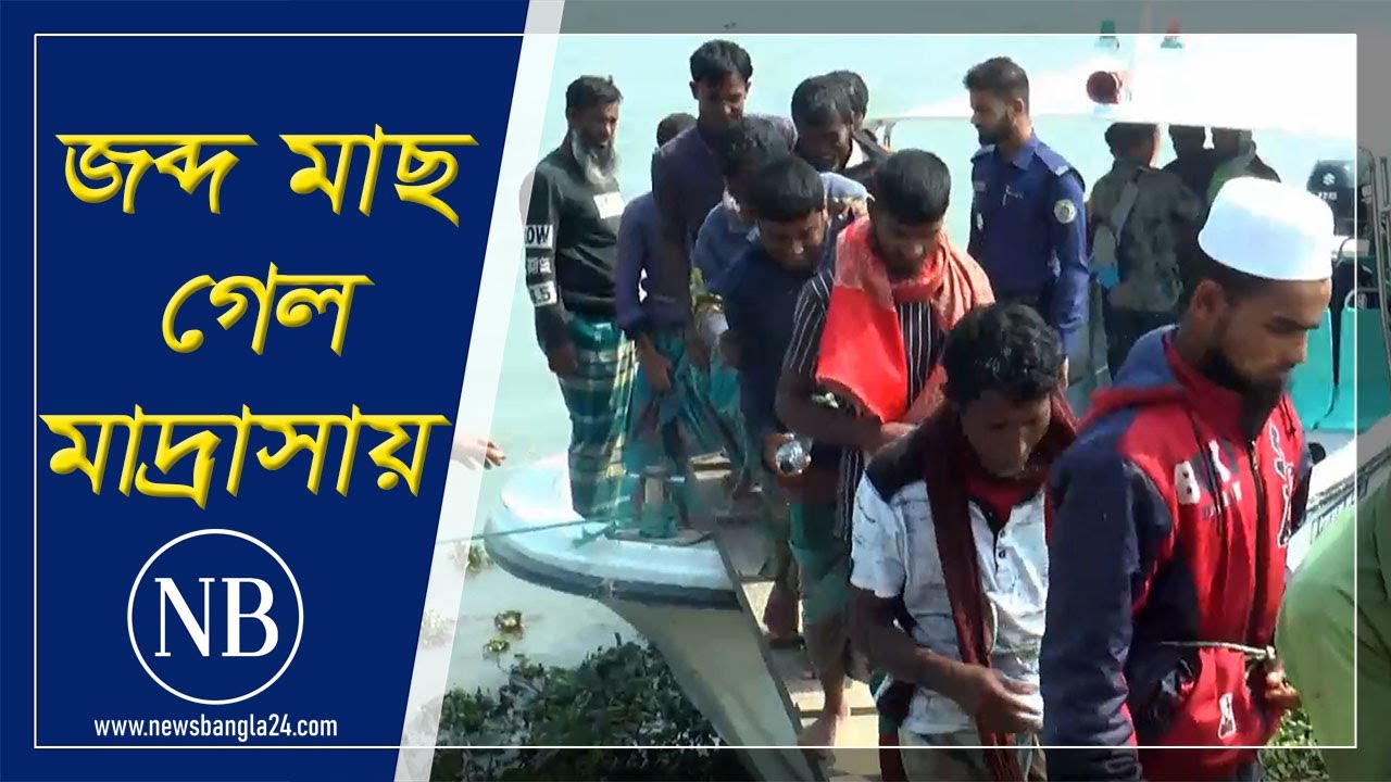 নিষেধাজ্ঞায় বাড়বে ইলিশ উৎপাদন | Bhola | Hilsa production - YouTube