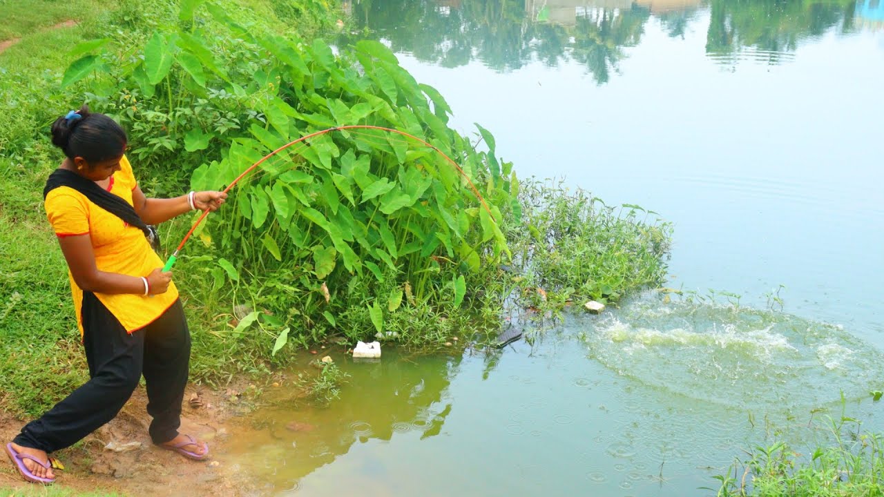 Fishing Video | the lady catching big fish in our village pond ...