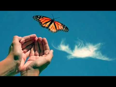 Eskisi kadar özlemiyorum seni🦋Özdemir ASAF