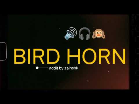 🔊🎧👁️#useheadphones #tranding #trans #viralvideo #status #compilation #soundtrack #keepsupporting