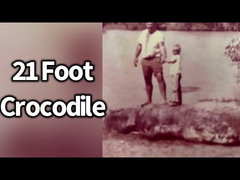 Longest Crocodile Caught in Australia, Old Charlie - YouTube
