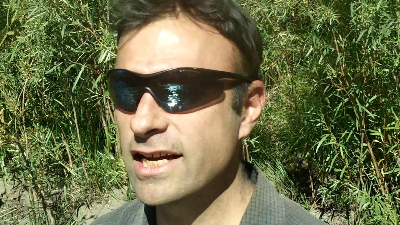 Alex Ansary on Four Asteroids Whiz by Earth as Sun becomes more Active ...