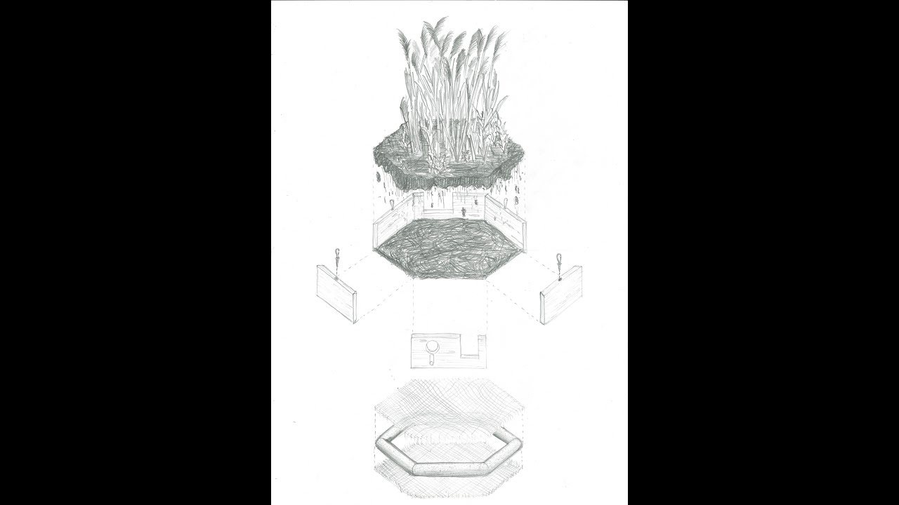 Floating Reed beds system - YouTube