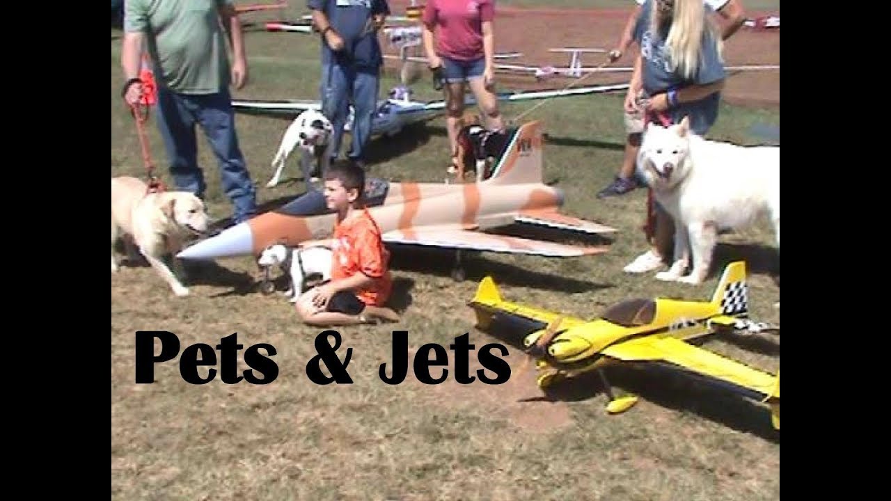 Pets&Jets - YouTube