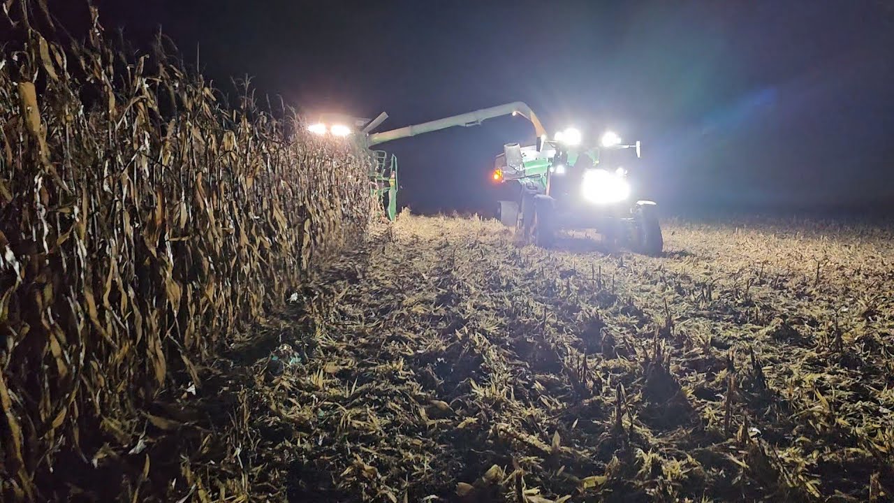 Can We Finish Harvest Today? - YouTube