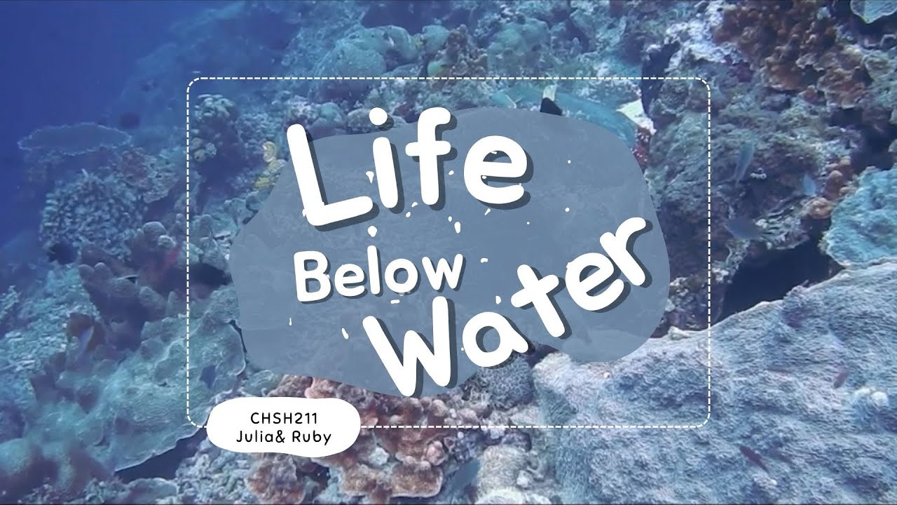 SDGs #14 life below water - YouTube