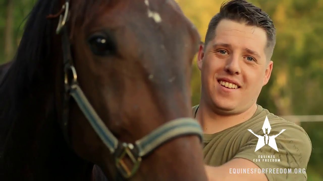 Equines for Freedom Promotional Spot - YouTube