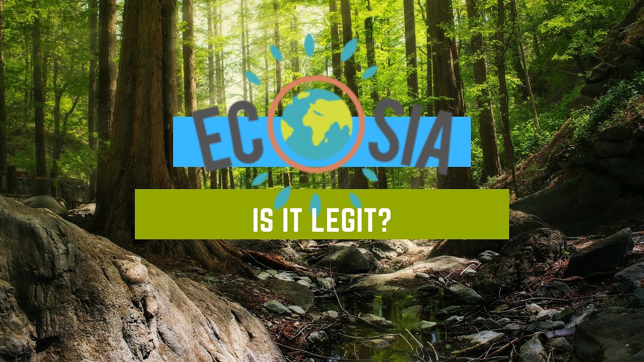 Is Ecosia Legit or Fake? An honest review of Search Engine Ecosia - YouTube