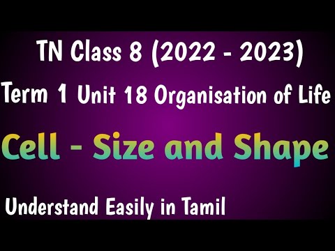 Cell| Cell Size and Cell Shape| Class 8 Term 1 Unit 18 Organisation of ...