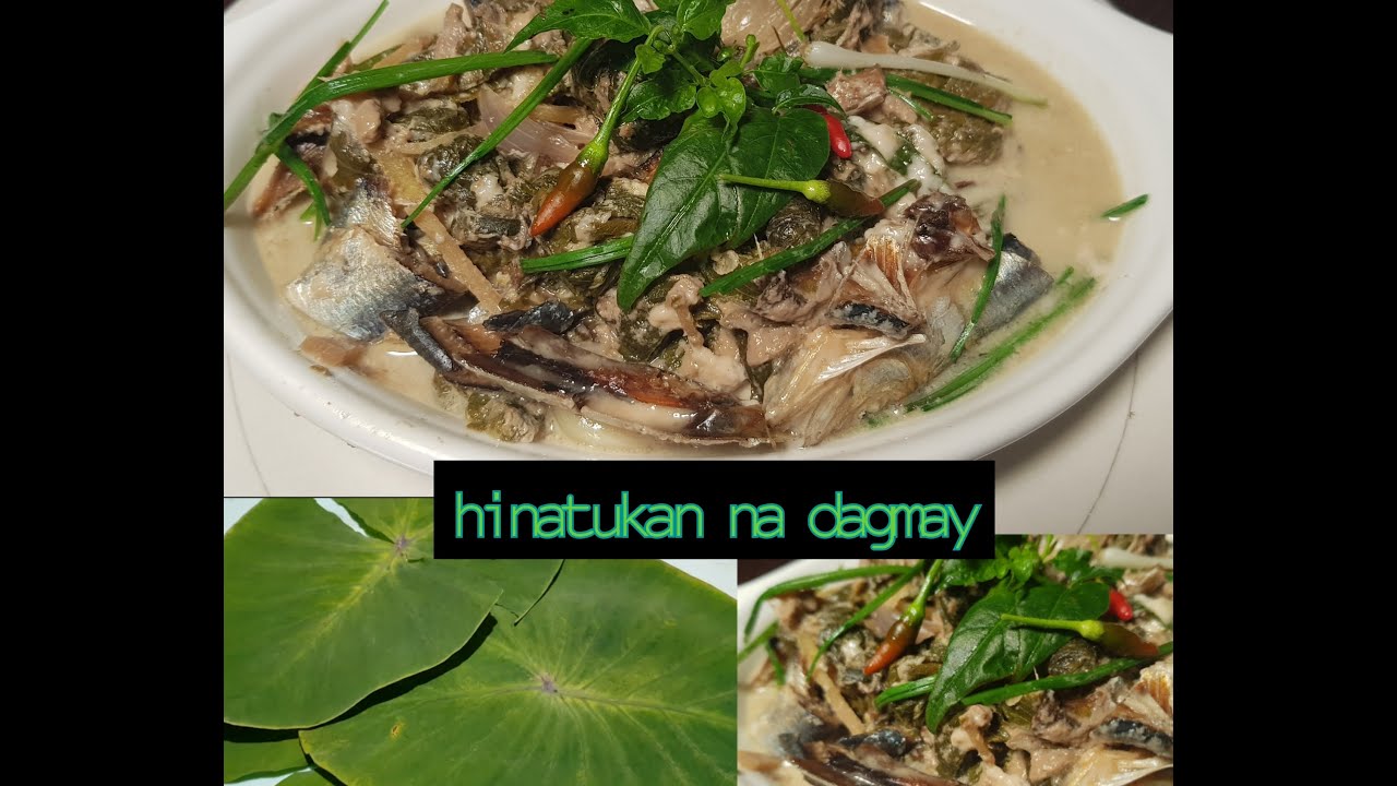 Ginataang dahon ng gabi/Gabi leaves in coconut milk/Hinatukan na dagmay ...