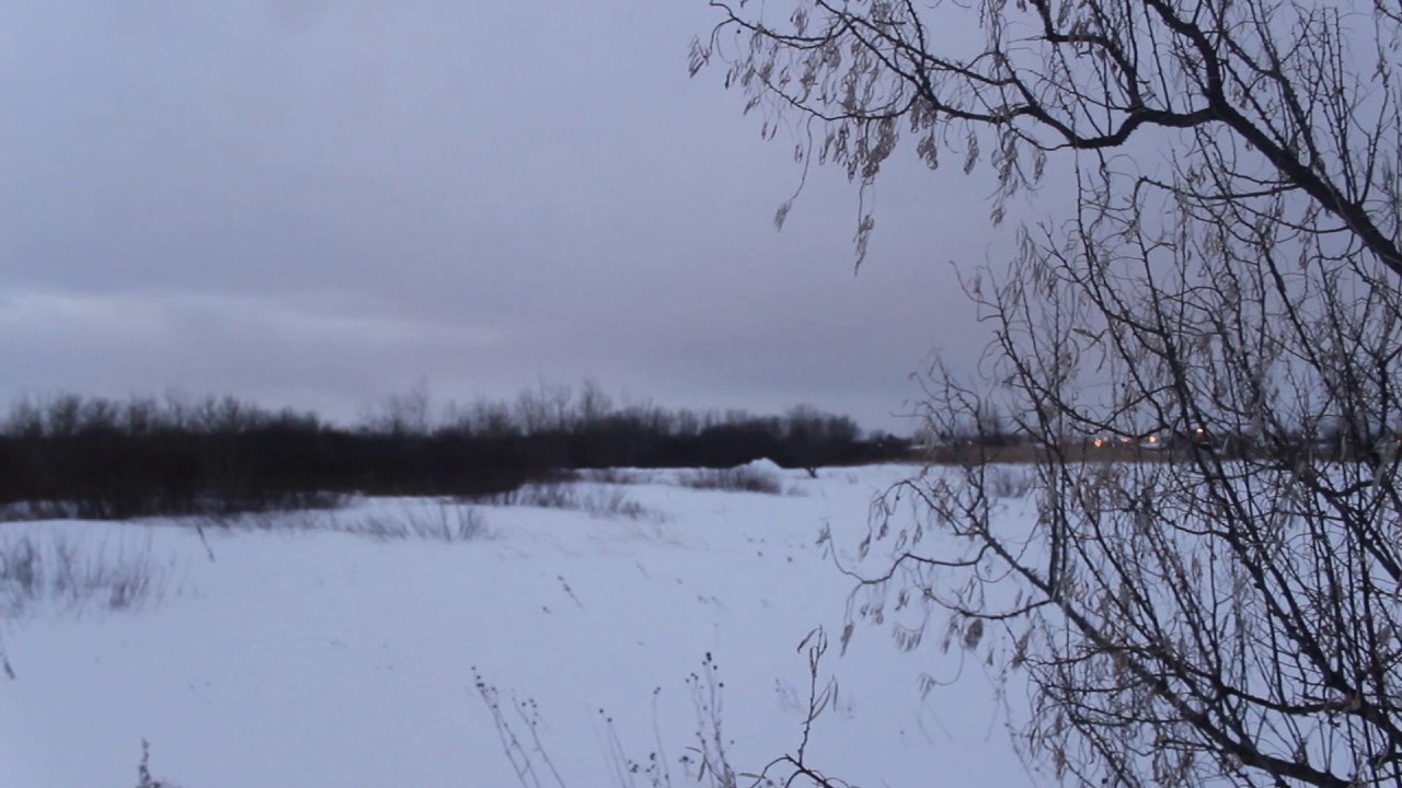 January 1, 2017 - Transcona Bioreserve - YouTube