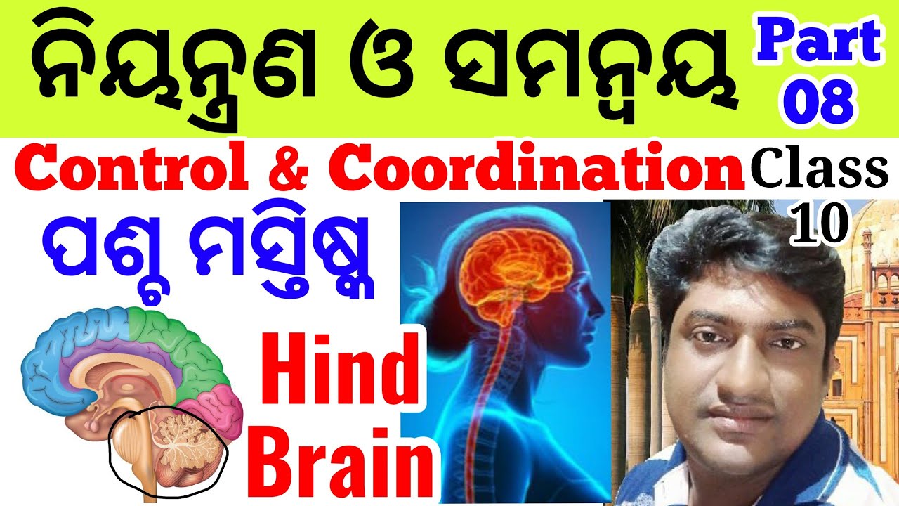 ନିୟନ୍ତ୍ରଣ ଓ ସମନ୍ଵୟ Part 8 | Control and Coordination Odia | ପଶ୍ଚ ...