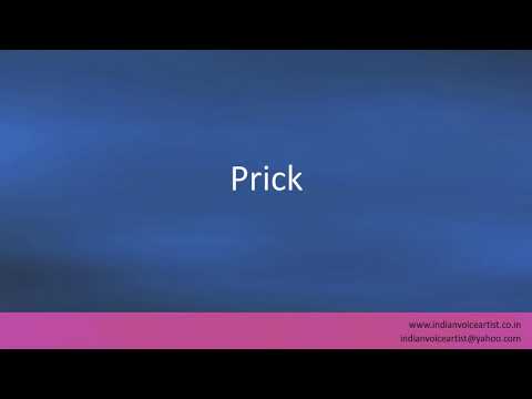 Pronunciation of the word(s) \