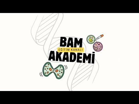 22.Gün | KALITIM 1.Video